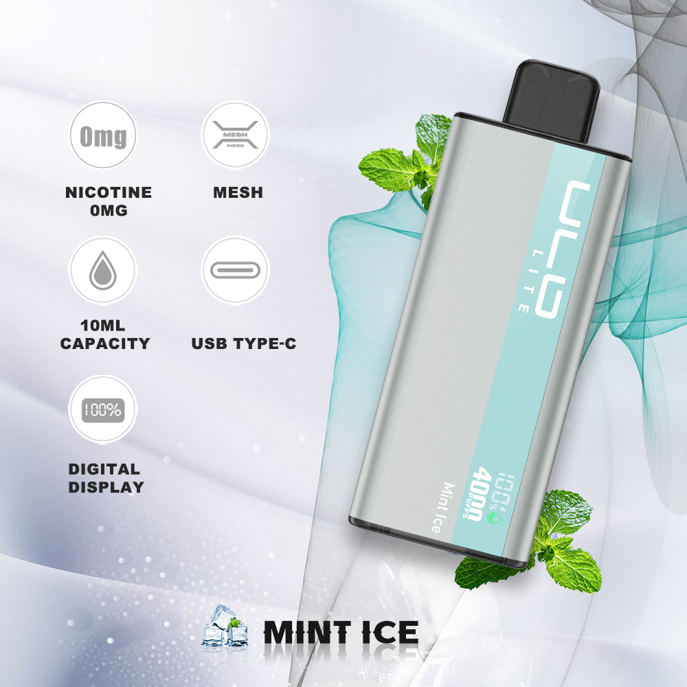 MINT ICE – NEXT VAPE